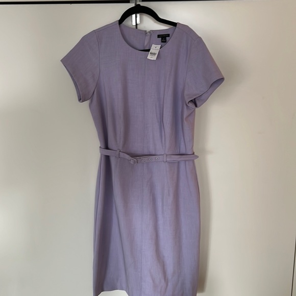 Dresses | Nwt Ann Taylor Purple Work Dress | Poshmark